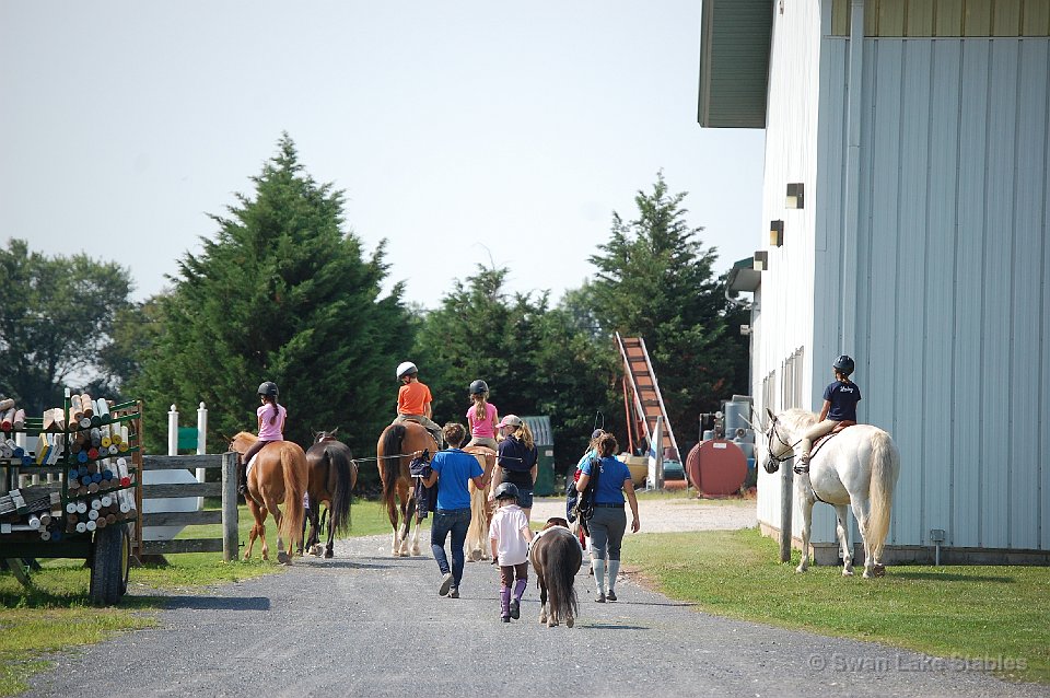 Summer Camp – Swan Lake Stables